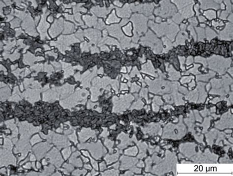 Dual Phase Steel Containing 27 Of Martensite Download Scientific Diagram