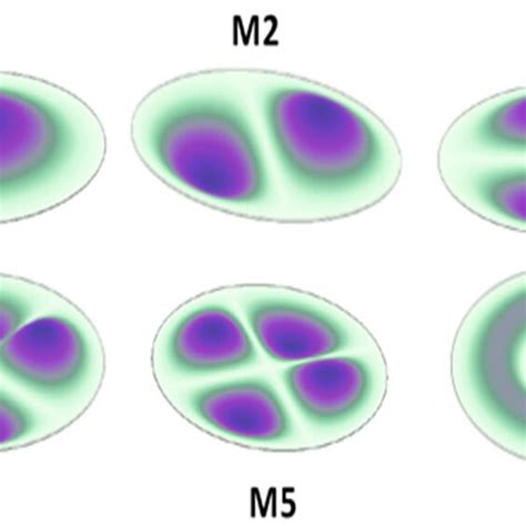 Fft Of Data For The Comparison Of Modes Of Vibrations Fem Based Modal