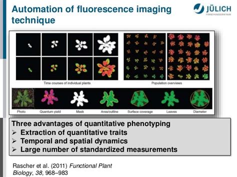 Plant Phenotyping A New Scientific Discipline To Quantify Plant Trai