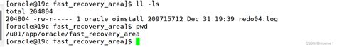Oracle 19c 容器数据库rman备份与恢复配置（一）19c 备份还原 Csdn博客