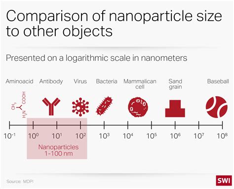 Nanometer Scale Comparison Adding Scales For Size Comparison Science