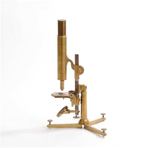 Dsc 8392 Fleaglass Dsc 8392 Fleaglass