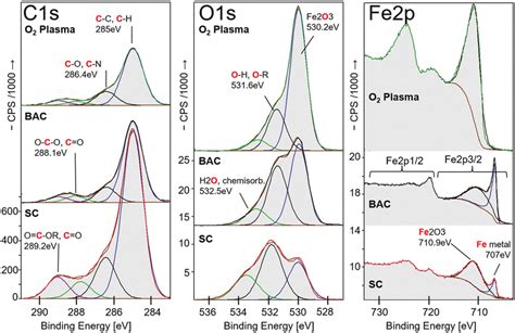 Xps Core Level Spectra Of C1s Left O1s Middle And Fe2p Right