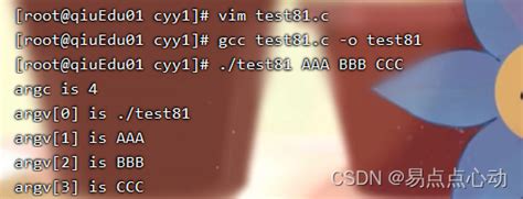 简单了解一下c语言main函数的参数主函数带参数怎么写 Csdn博客