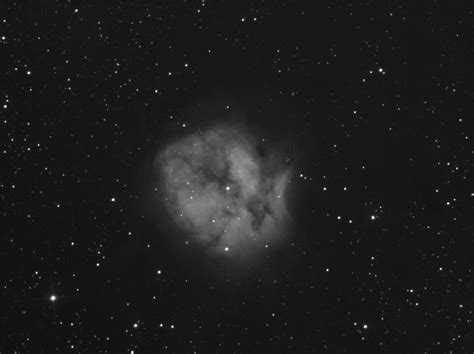 Ic5146 Cocoon Nebula Caldwell 19 Sh 2 125 Astrophotography Ccd Images