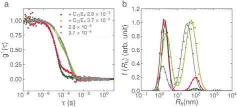 Dls Correlation Functions A And The Corresponding Size Distribution Download Scientific