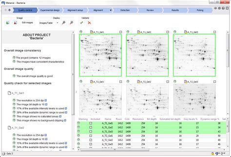 Melanie Classic And Dige Software For 2d Gel Based Expression Analysis