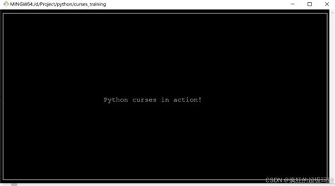 python文本终端gui框架，太酷了 npyscreen csdn博客
