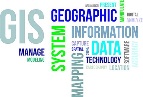 Word Cloud Business Analysis Needs Identifying Planning Vector Needs