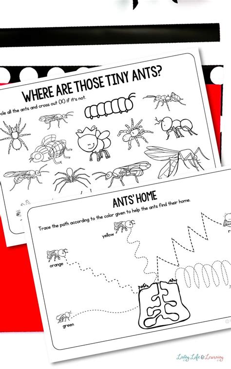 Ant Worksheets For Kindergarten