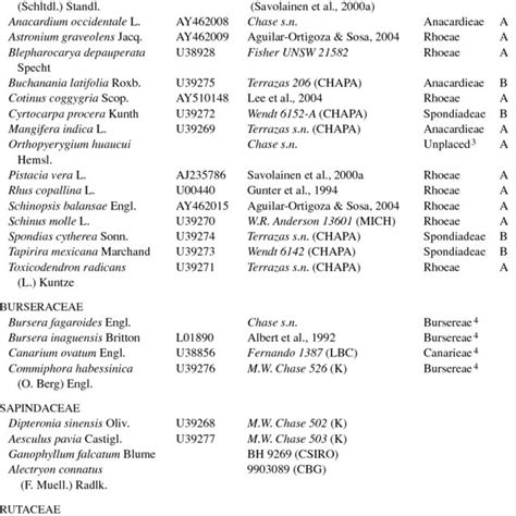 Taxa Included In The Molecular Analysis Download Table