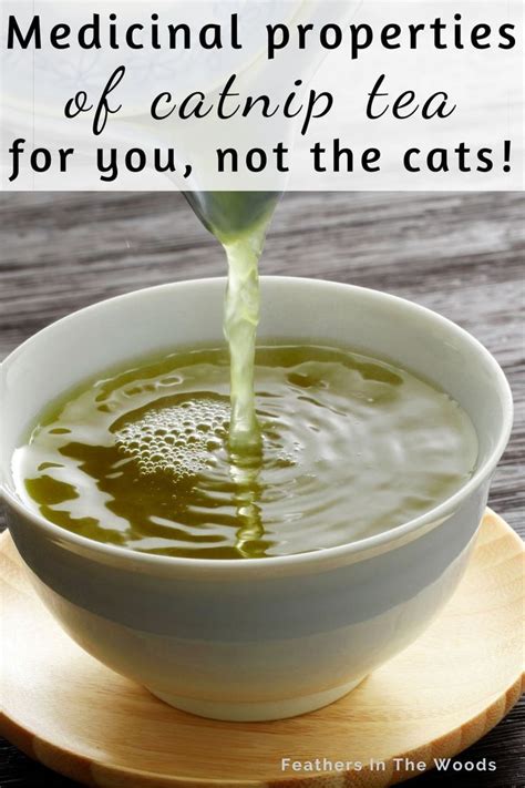 Growing And Using Catnip For Tea For You Not The Cats Artofit