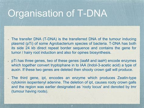 Plant Expression Vectors Pptx
