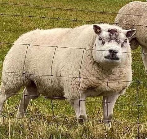 These Texture Packs And Shaders Are Insane Rminecraftmemes