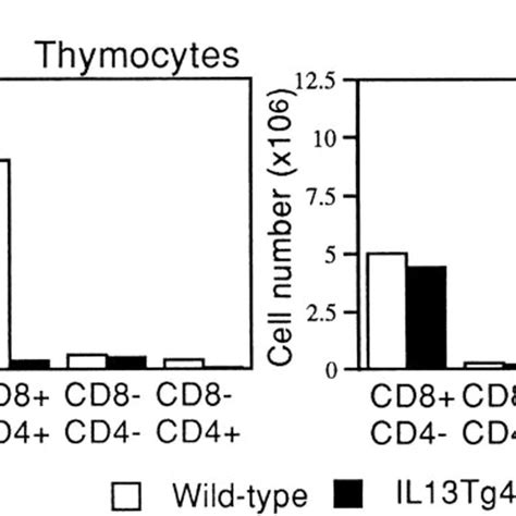 Thymocyte Number And Surface Phenotype A Single Cell Suspensions