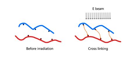Cross Linking Polymerization Explained Ebm Machine