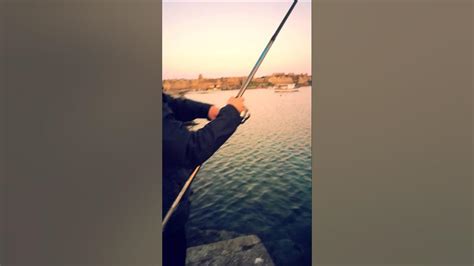 Ψαρεμα Σουλιμεντι στη Μεθωνη Μεσσηνιας Youtube