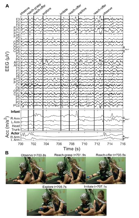 Sample Data From A Representative Experimental Session A EEG And Download Scientific Diagram