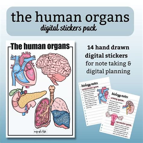 Biology And Anatomy Digital Stickers Etsy