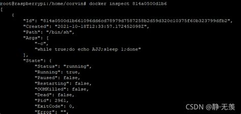 狂神jetson nano docker学习笔记 三 csdn博客
