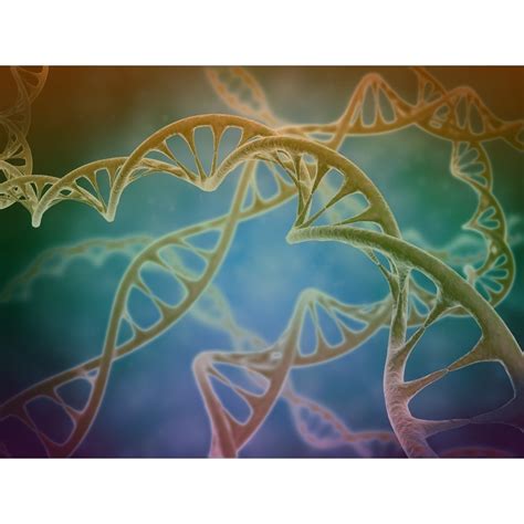 Cluster Of Dna Strands Poster Print
