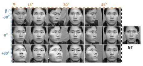 The Synthesized Face Frontalization Results Of Dmagan The First Column