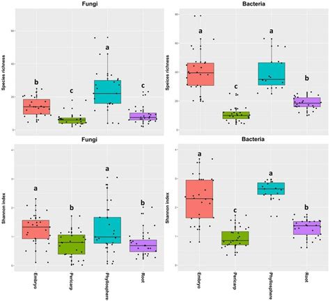Sunburst Plot Showing The Most Abundant Fungal A And Bacterial B Download Scientific