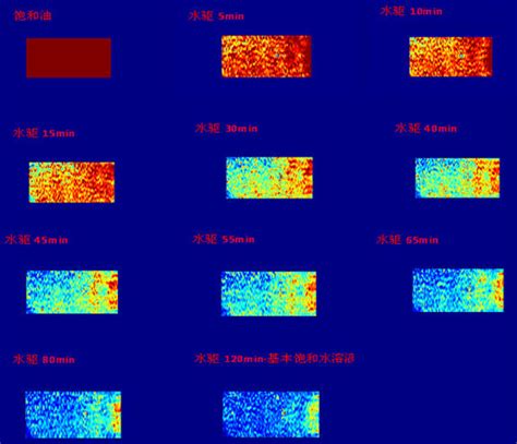 核磁共振驱替分析与成像在提高采收率方面的应用 上海纽迈电子科技有限公司