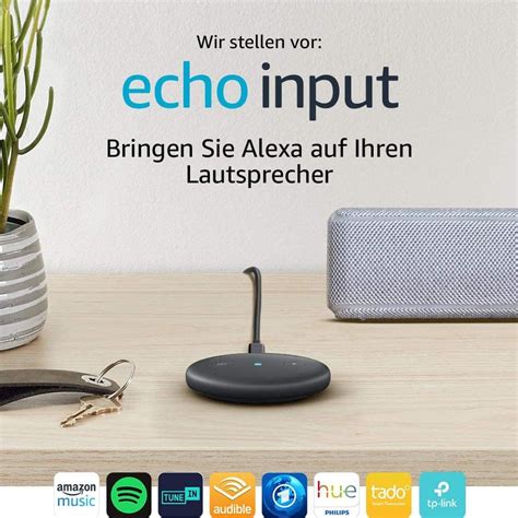 Amazon Echo Input Allccessory Com