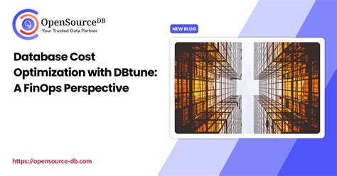Database Cost Optimization With Dbtune A Finops Perspective