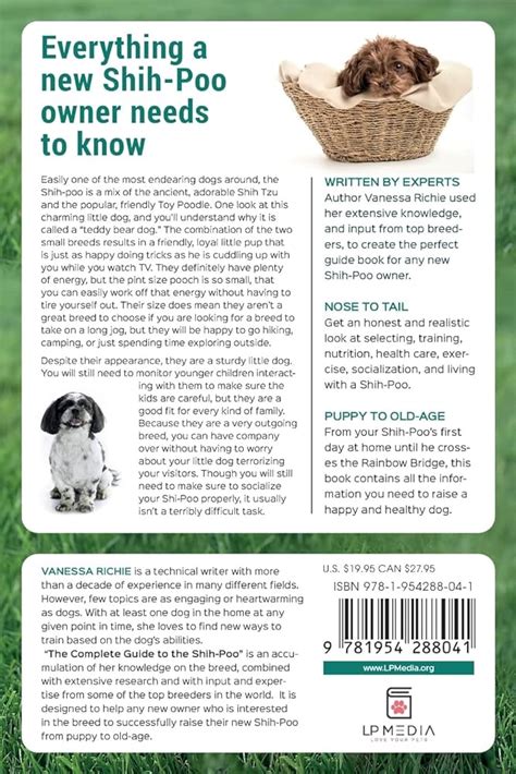 Shihpoo Puppy Breeders Shih Poo Dog Breed Information And