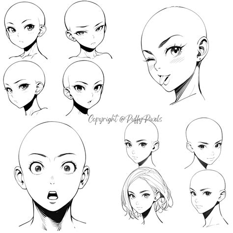 Procreate Anime Face Base Girl Woman Female Head Brushes Stamps