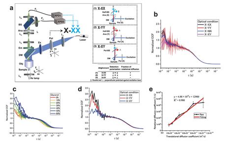 Polarization Dependent Fluorescence Correlation Spectroscopy