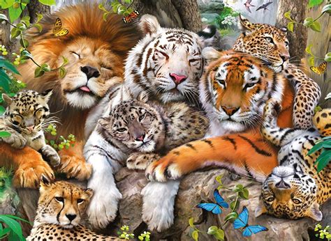 Big Cat Nap 200 Bita Spilavinir