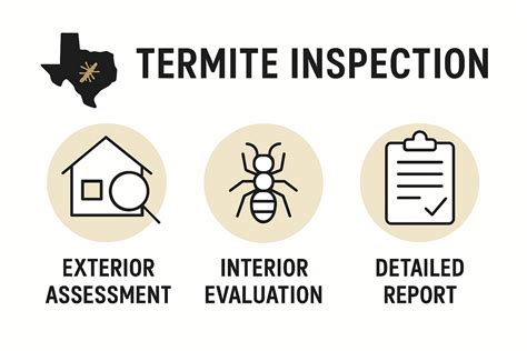 Termite Inspection Process 2025 Guide For Texas Homeowners Pestico