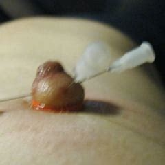 Just Nailed Him To The Tabel And Now Its Your Turn Pics Xhamster