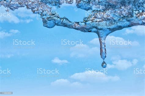 물이 얼음을 떨어 뜨리고 흰색으로 반짝이는 고드름 이른 봄 12월에 대한 스톡 사진 및 기타 이미지 12월 1월 겨울