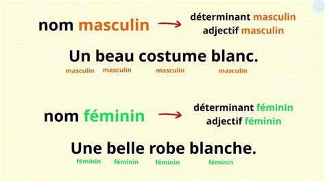Dictée sur l accord en genre dans le groupe nominal CM1 CM2 Maître Lucas