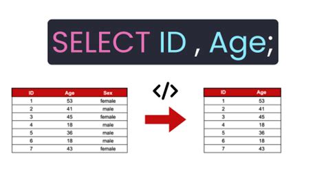 How To Write A Basic Sql Select Statement