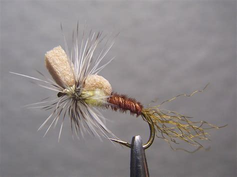 pmd emerger fly patterns at anthony griggs blog