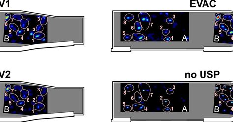 Infrastructure Understanding The Performance Of Under Sleeper Pads In Depth Railway Gazette