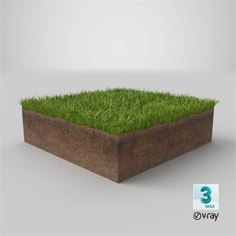 Grass Cross Sections 01 3d Model 49 Max C4d Obj Ma Upk
