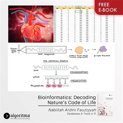 Bioinformatics Decoding Nature S Code Algoritma