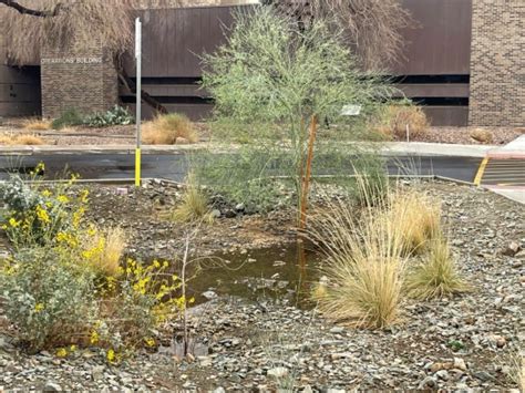 Desert Water Harvesting Initiative Water Resources Research Center