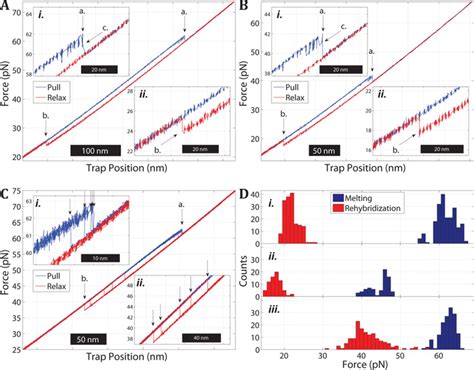 Melting And Rehybridization Of The At Rich Oligonucleotide In The Download Scientific Diagram