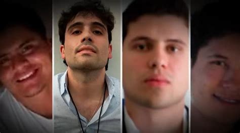 Los Chapitos Relevo Poder Y Narcotráfico México