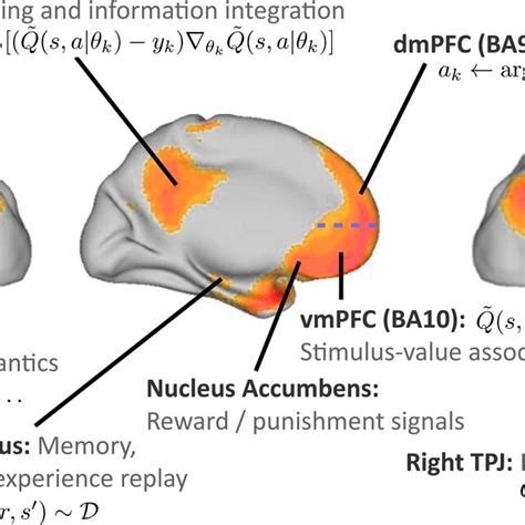 Default Mode Network Possible Neurobiological Implementation Of Download Scientific Diagram