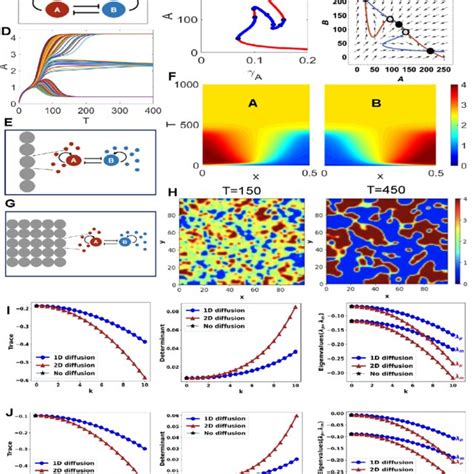 Dynamics Of Toggle Switch With Self Activation TSSA A Schematic Of Download Scientific