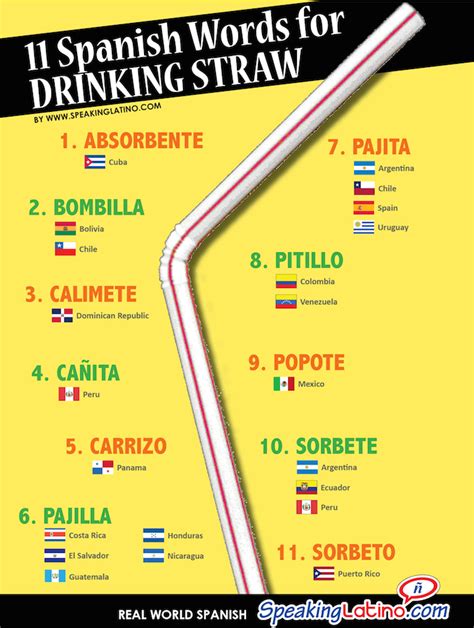 11 Spanish Words For Drinking Straw Infographic