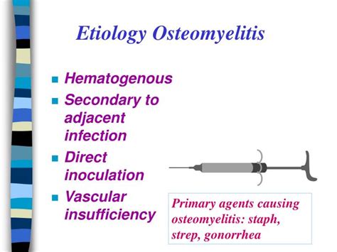 Ppt Osteomyelitis Powerpoint Presentation Id298370
